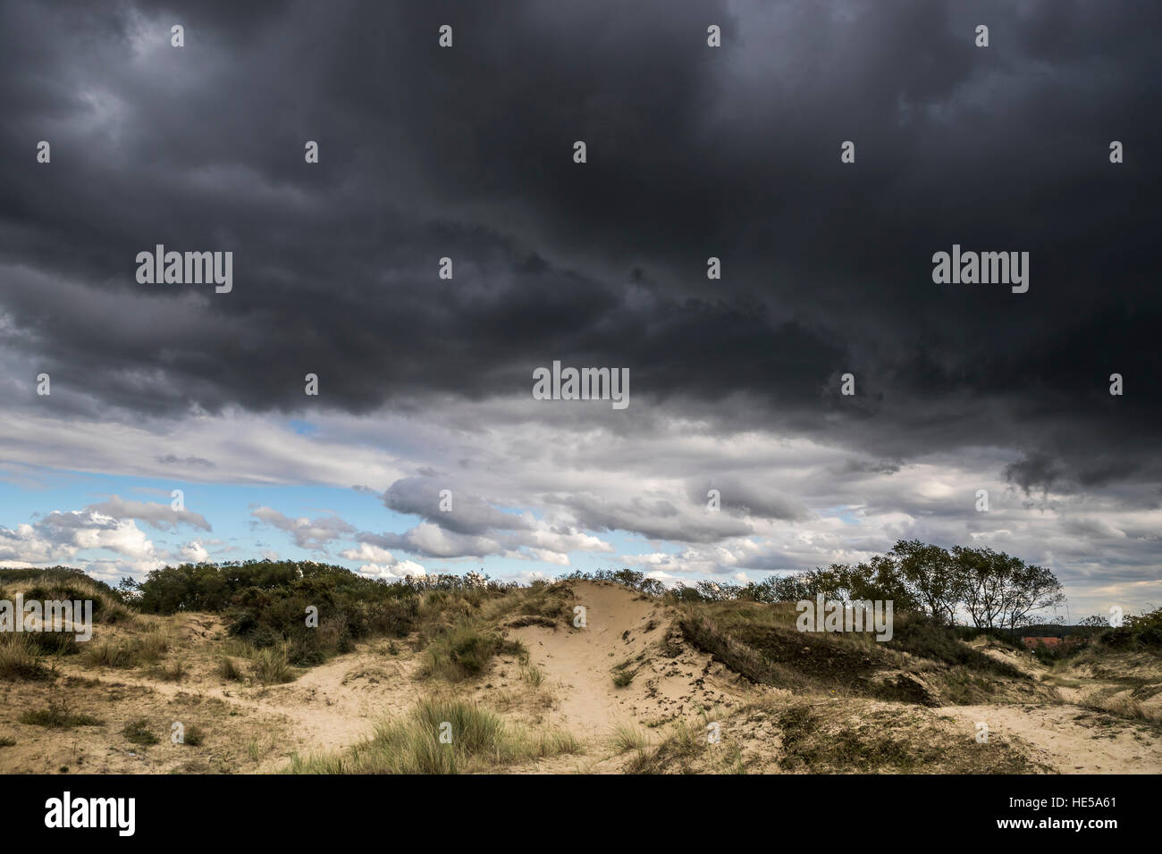 Dune system of Bray Dunes, Dunkirk, France Stock Photo - Alamy