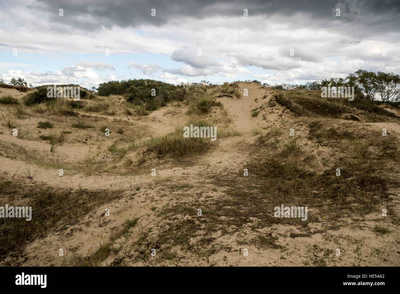 Dune system of Bray Dunes, Dunkirk, France Stock Photo - Alamy