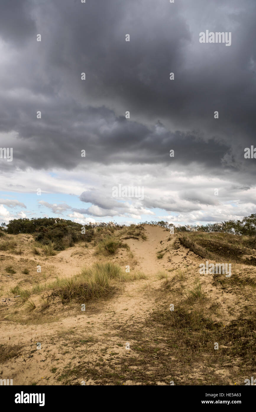 Dune system of Bray Dunes, Dunkirk, France Stock Photo - Alamy