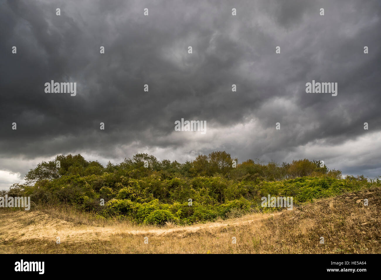 Dune system of Bray Dunes, Dunkirk, France Stock Photo - Alamy