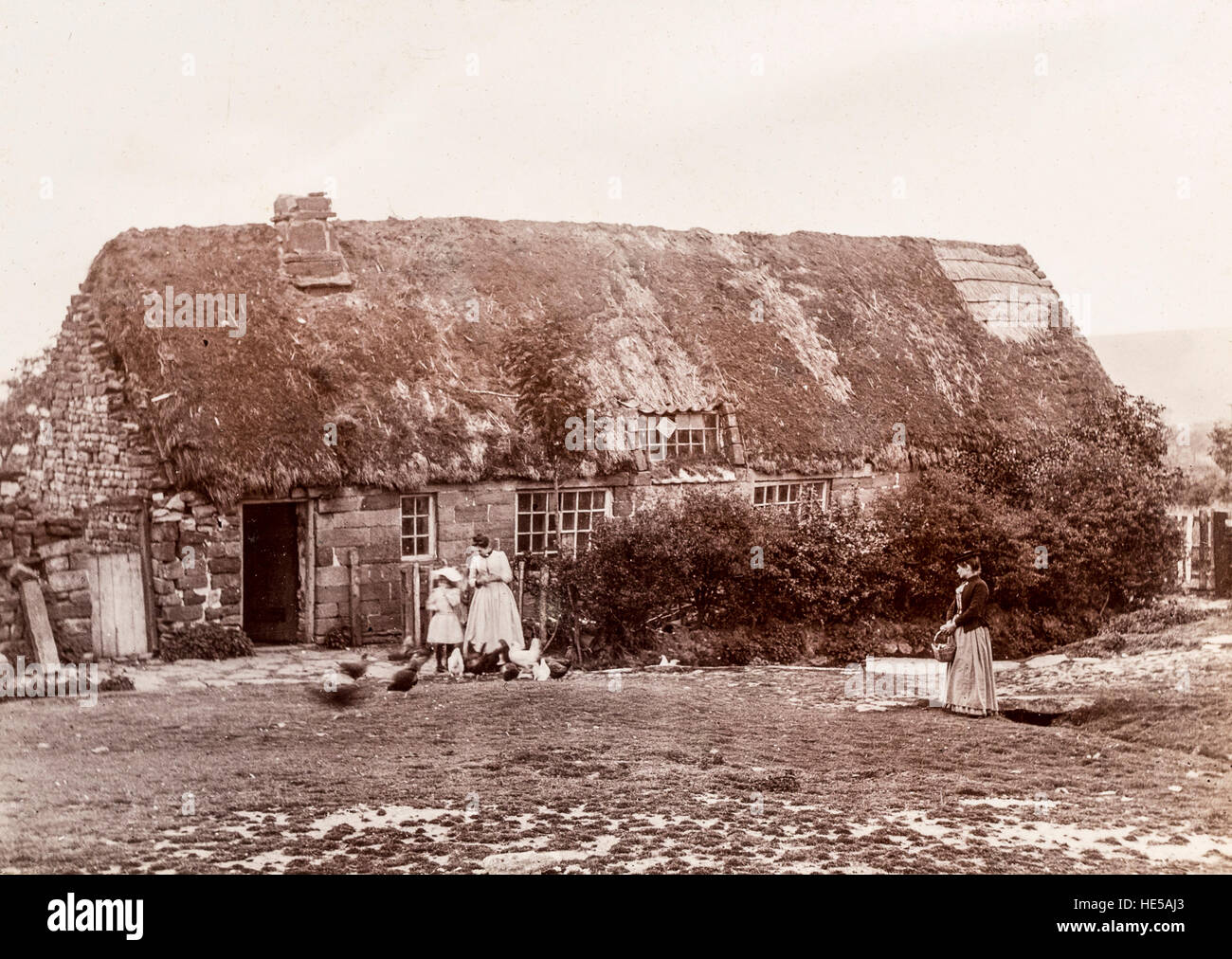 Very Old Thatched Cottage in Bad Repair North Yorkshire 1906 Stock ...