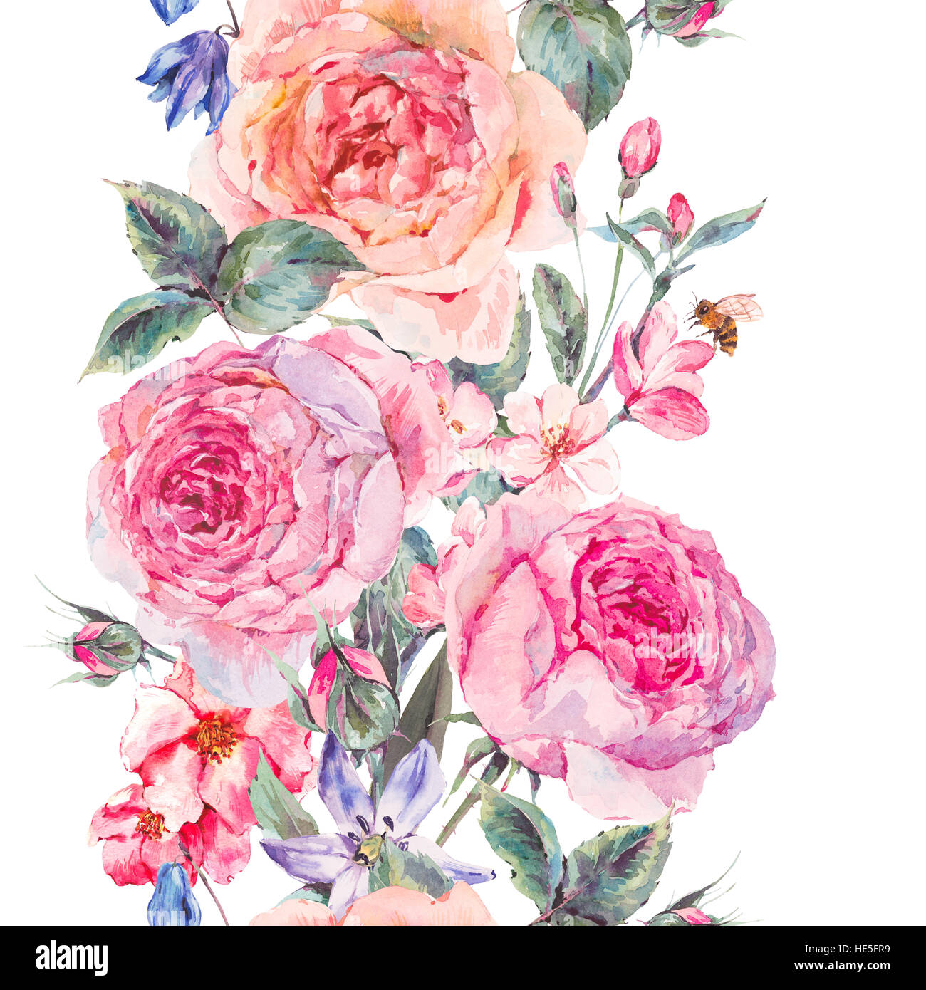 Watercolor spring seamless border with english roses Stock Photo - Alamy