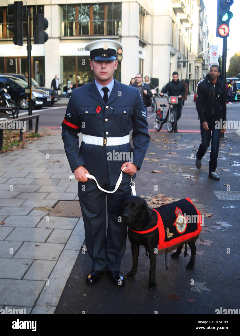 An RAF police dog handler attending a Service of Remembrance by the ...