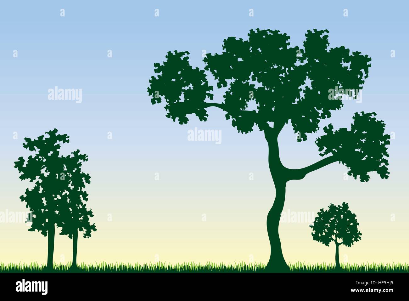 Deciduous trees travel Stock Vector Images - Alamy