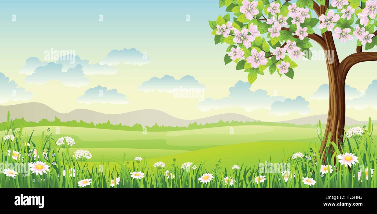 Spring panorama landscape with flowering tree and flowers Stock Vector ...