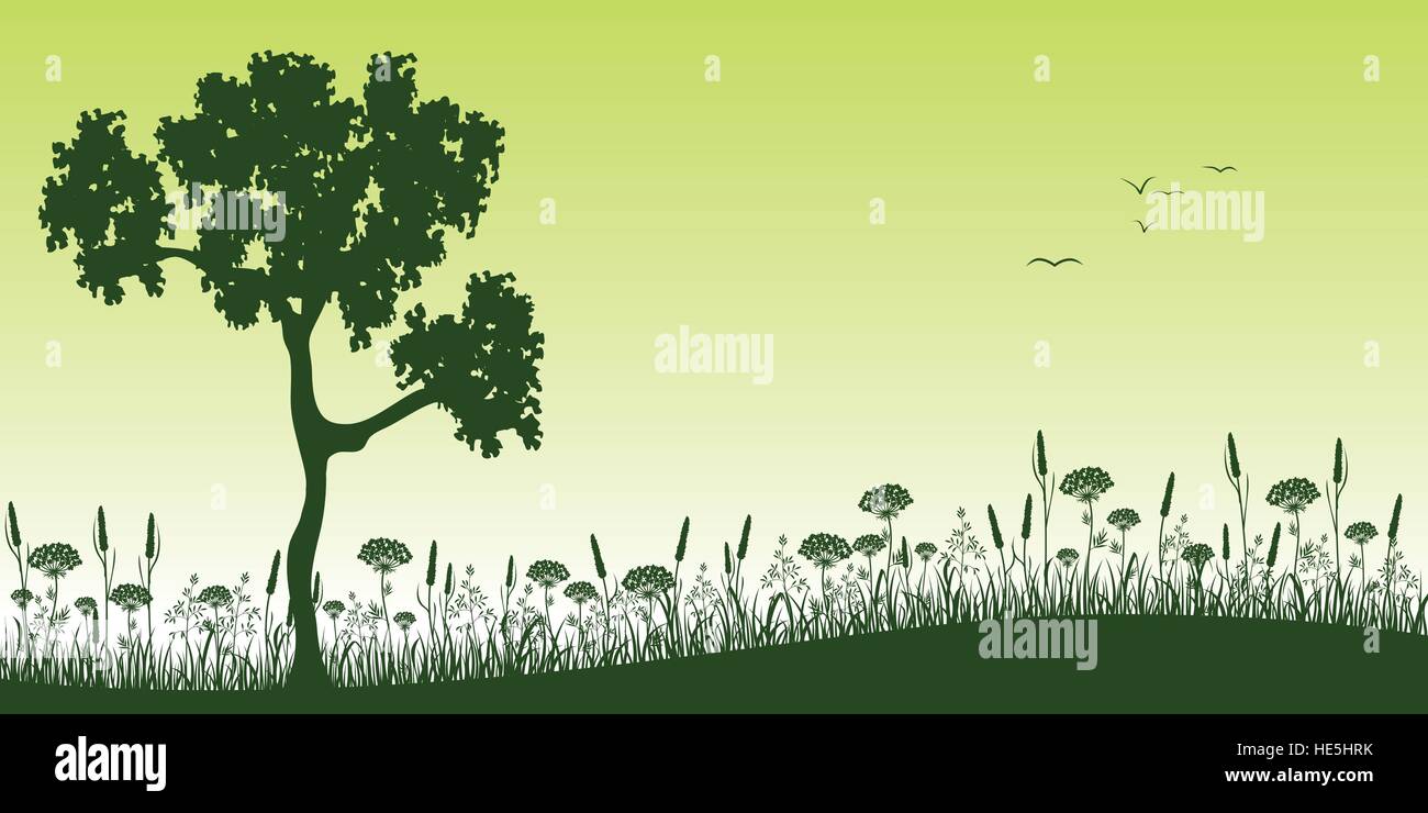 Meadow summer tree Stock Vector Images - Alamy