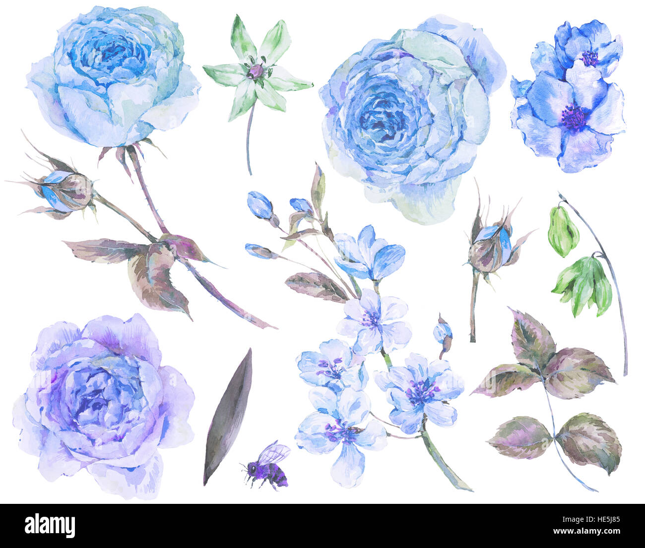 Watercolor sakura Cut Out Stock Images & Pictures - Alamy