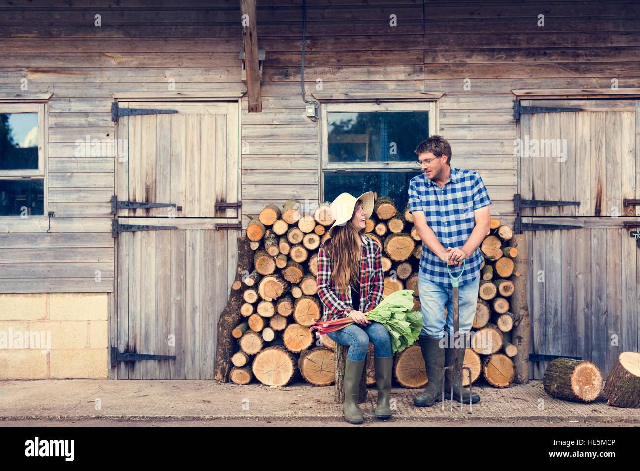 Firewood Fuelwood Lumber Timber Lumber Log Concept Stock Photo - Alamy