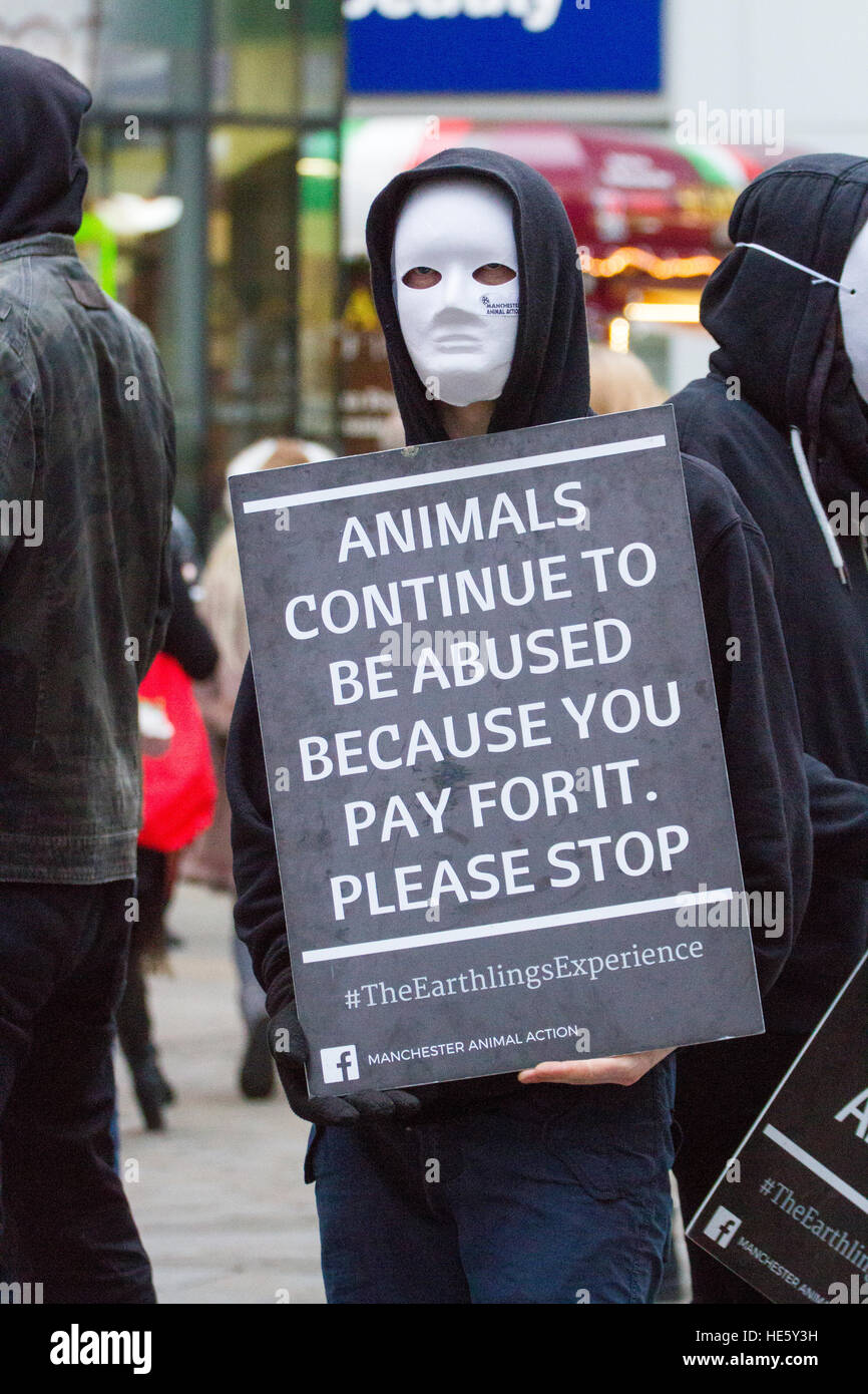 Vegan Protest, Piccadilly, Manchester, UK: 17th Dec 2016. Masked Animal ...