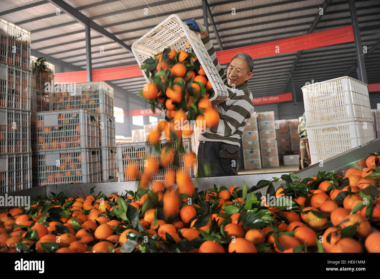 Oranges processing plant hi-res stock photography and images - Alamy