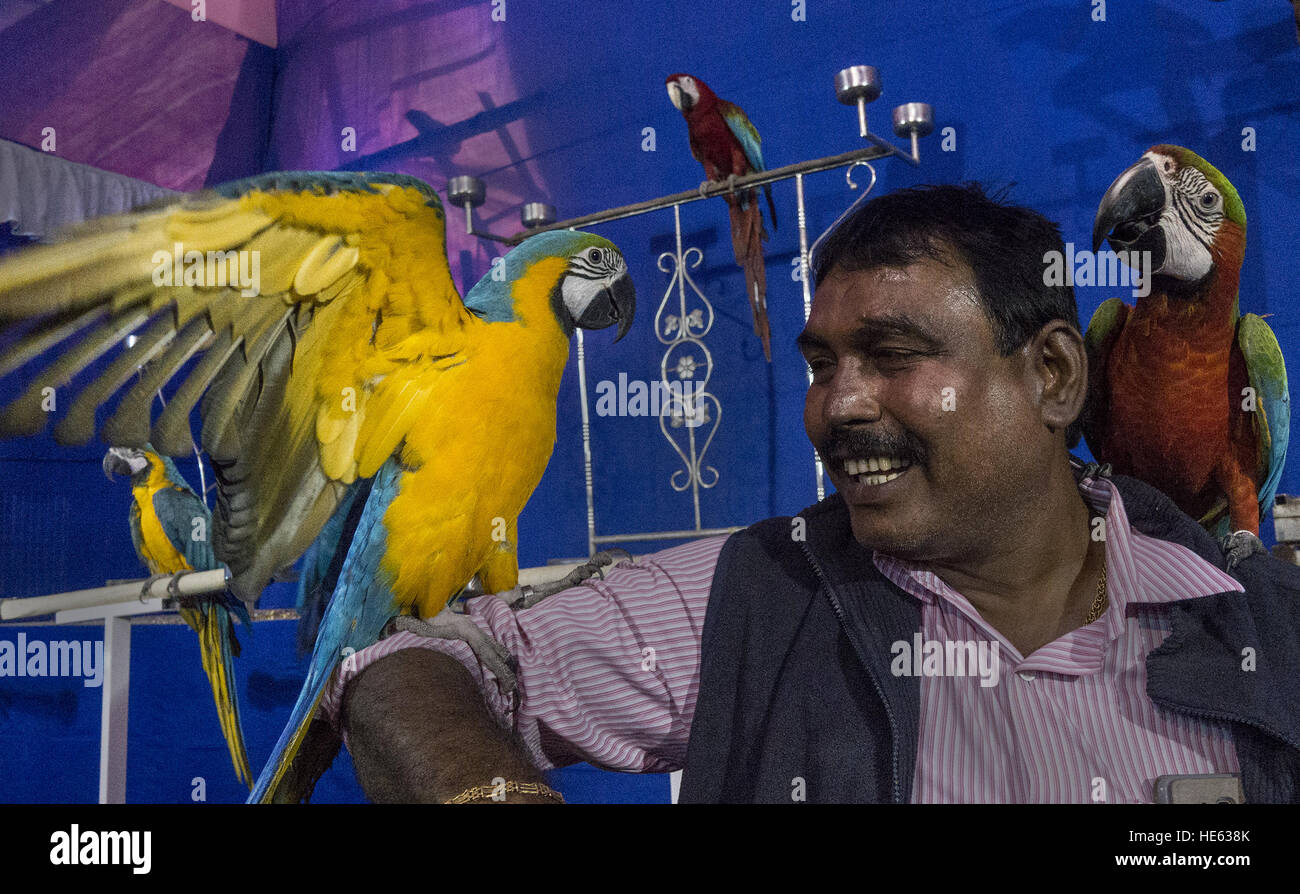 Kolkata, Indian state West Bengal. 18th Dec, 2016. An Indian bird lover ...