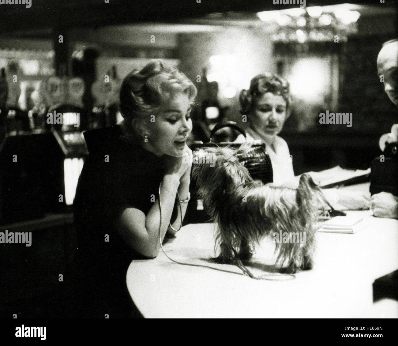 ZSA ZSA GABOR (born Sari Gabor, February 6, 1917 - December 18, 2016 ...