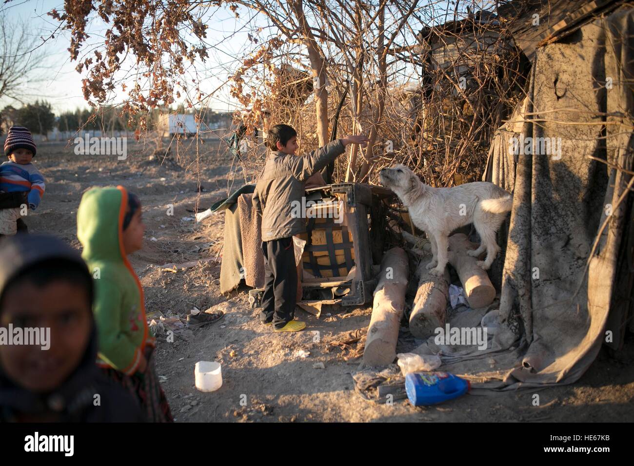 Tehran, Iran. 18th Dec, 2016. Pakistani migrant children play at a slum ...