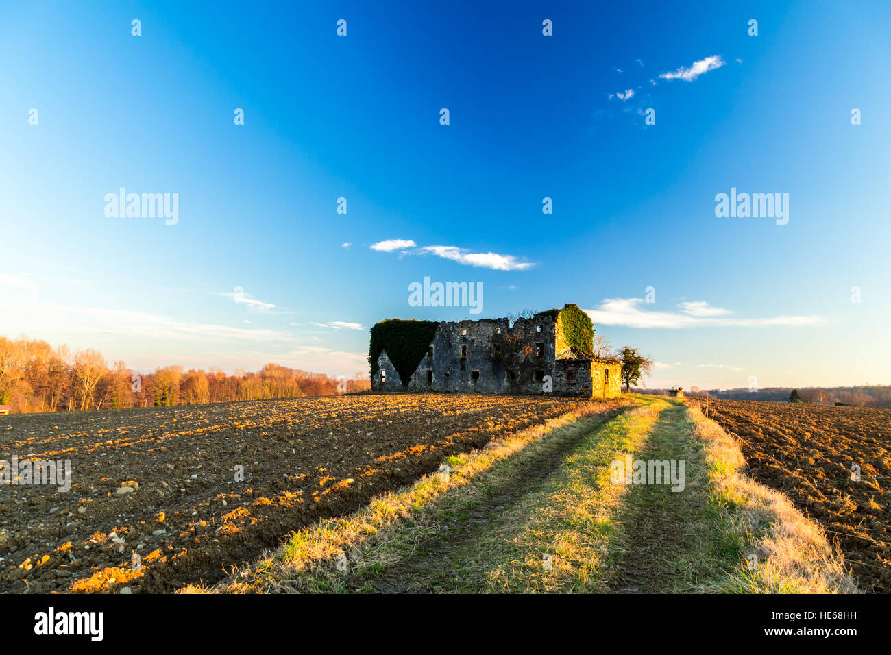an abandoned and ruined farm in the fields of Italy Stock Photo - Alamy