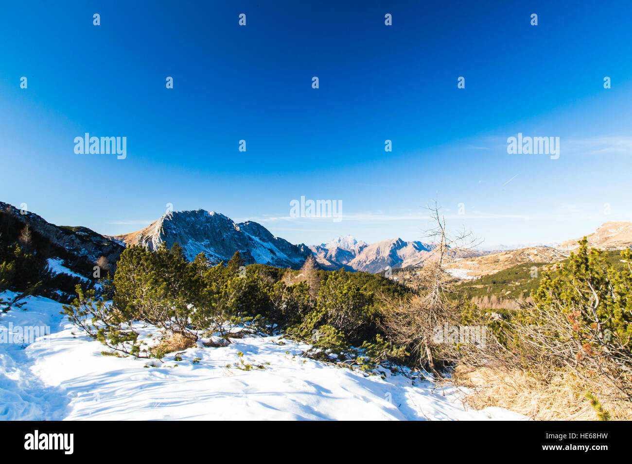 dry winter in the italian alps Stock Photo - Alamy