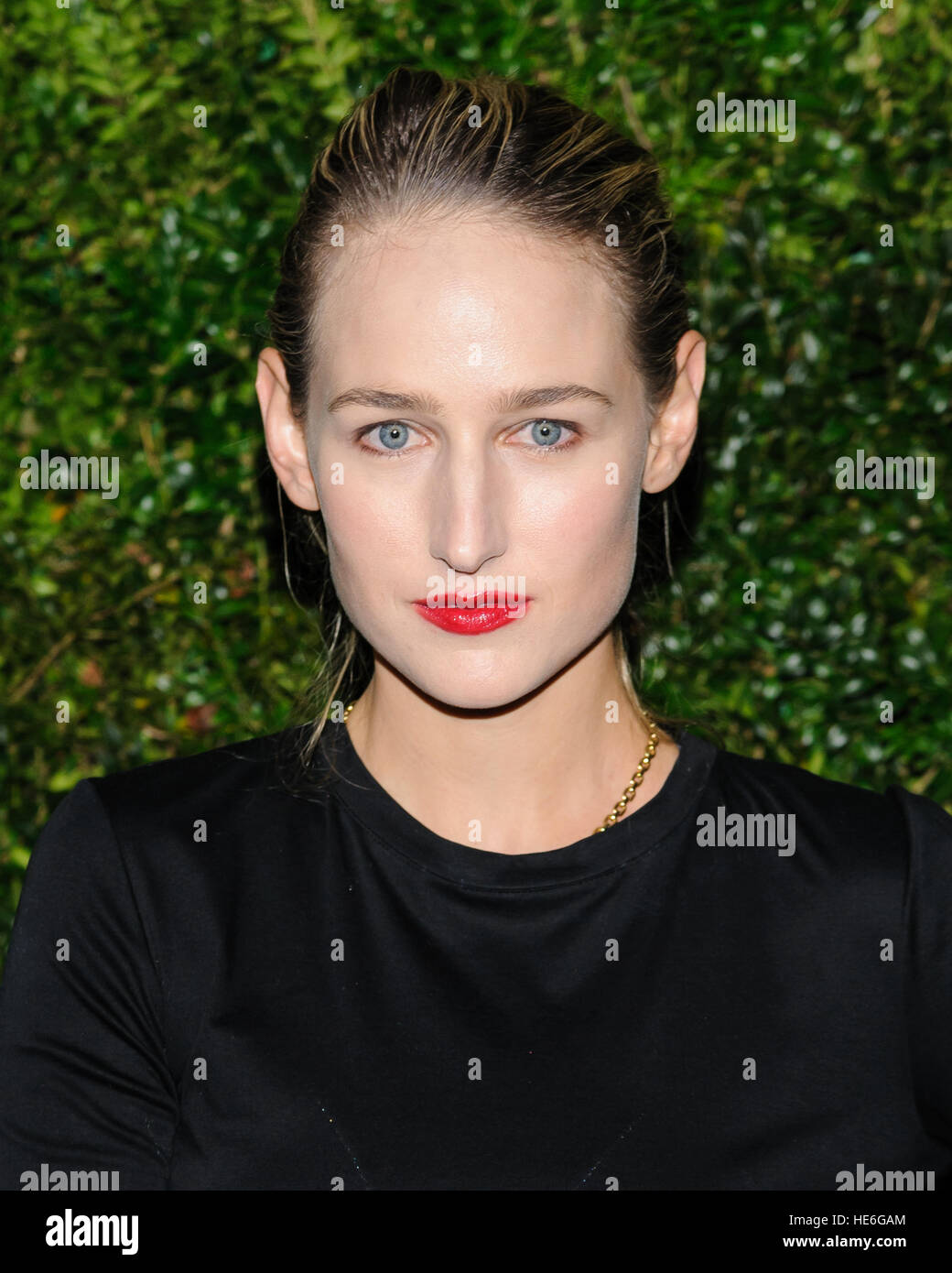 The Museum of Modern Art Film Benefit a tribute to Tom Hanks presented ...