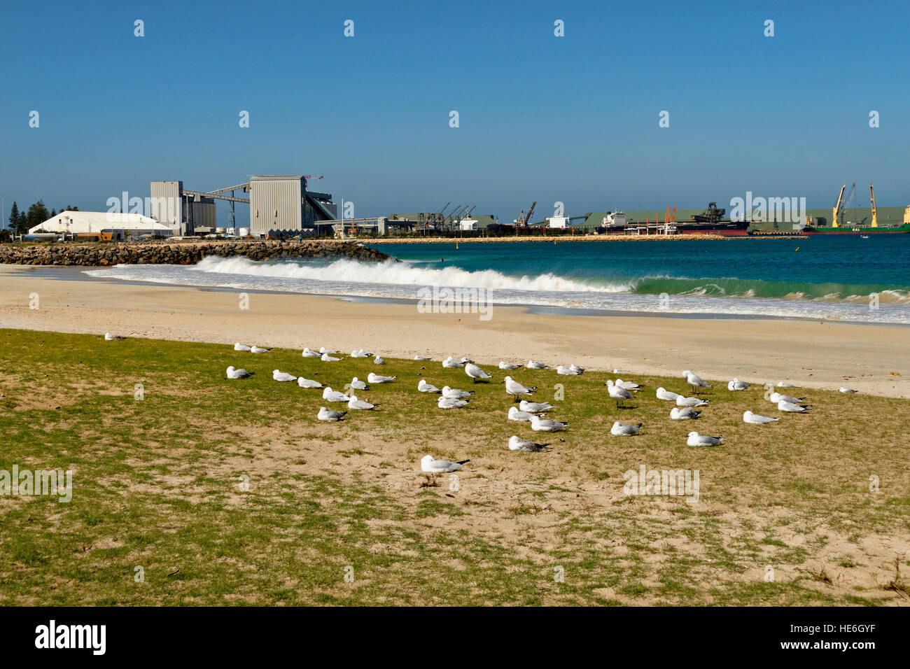 Champion Bay, beach, Geraldton, Western Australia Stock Photo - Alamy