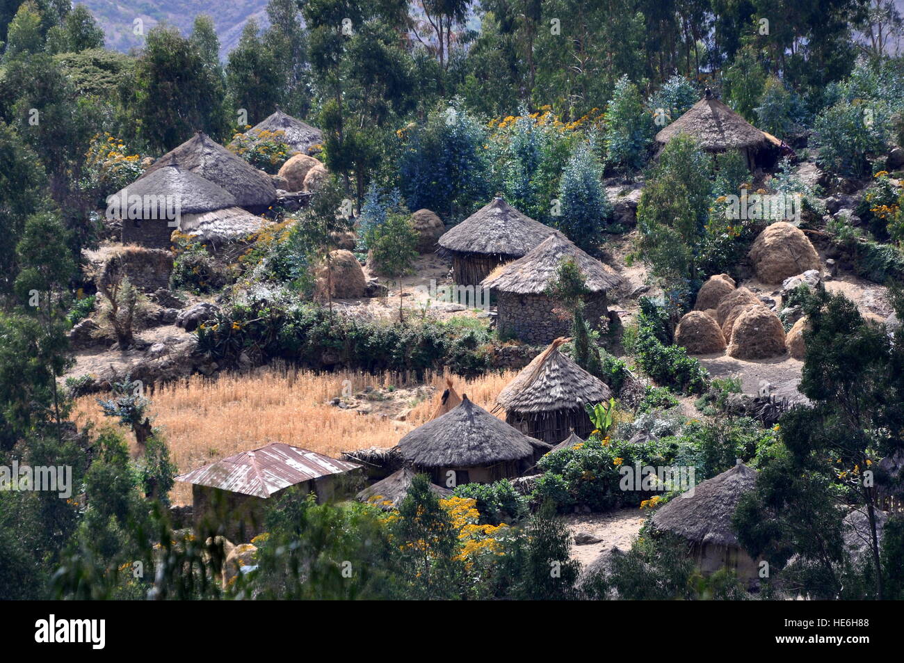 African village in Ethiopia Stock Photo - Alamy