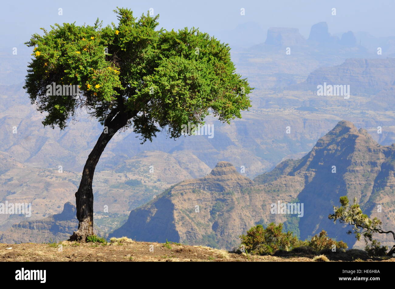 Ethiopia landscape hi-res stock photography and images - Alamy