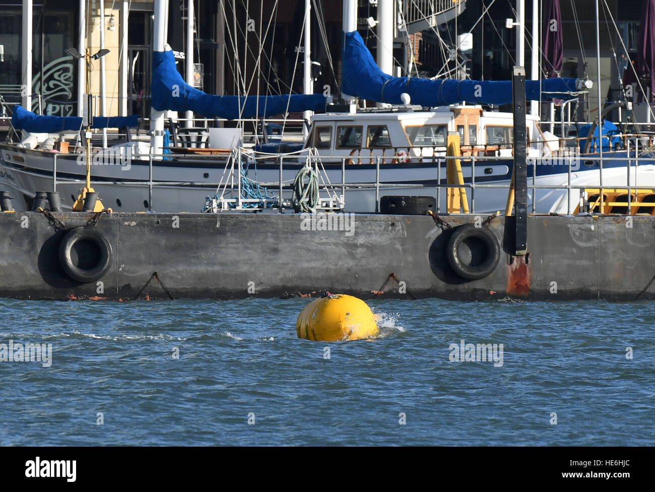 500lb hi-res stock photography and images - Alamy