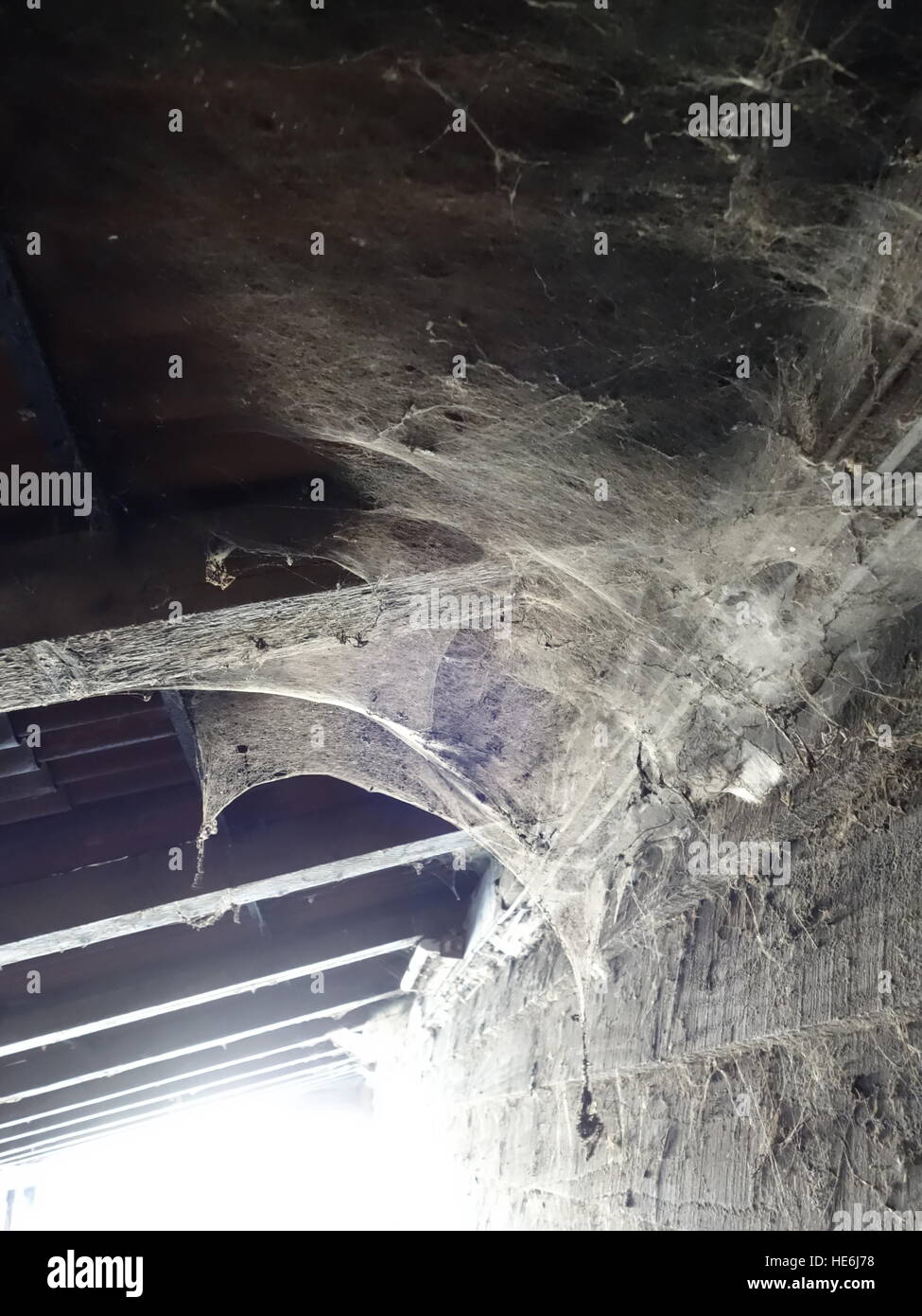 Old dusty, creepy objects covered in cobwebs and dust Stock Photo - Alamy