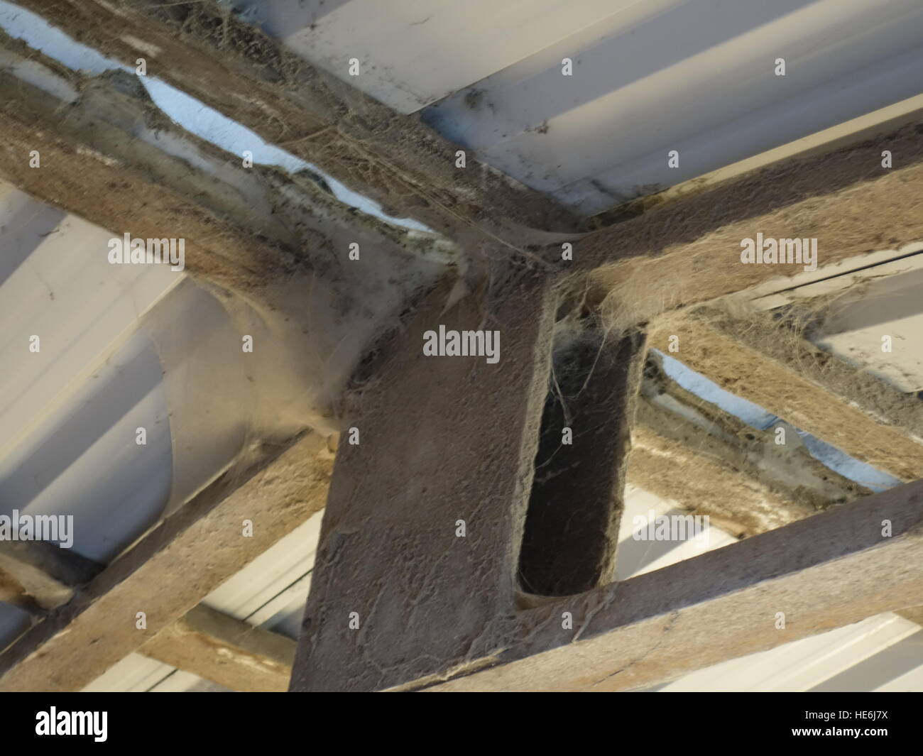 Old dusty, creepy objects covered in cobwebs and dust Stock Photo - Alamy