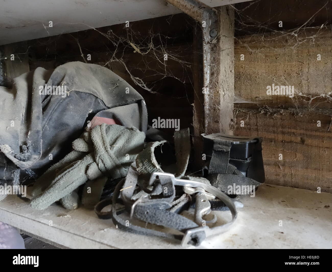 Old dusty, creepy objects covered in cobwebs and dust Stock Photo - Alamy