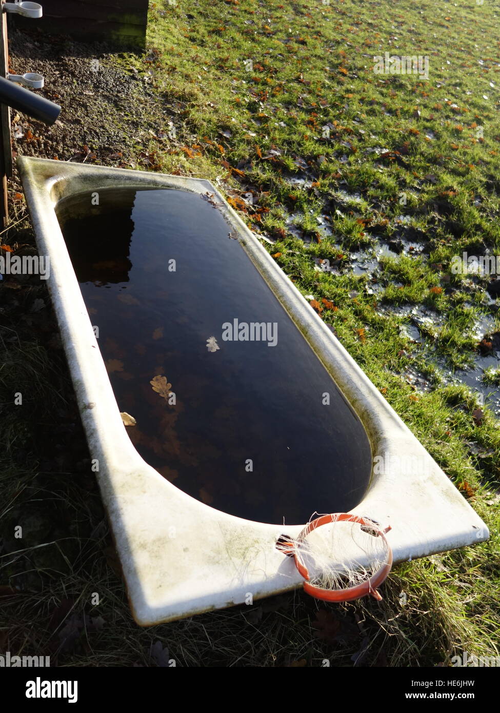 Trough bath hi-res stock photography and images - Alamy