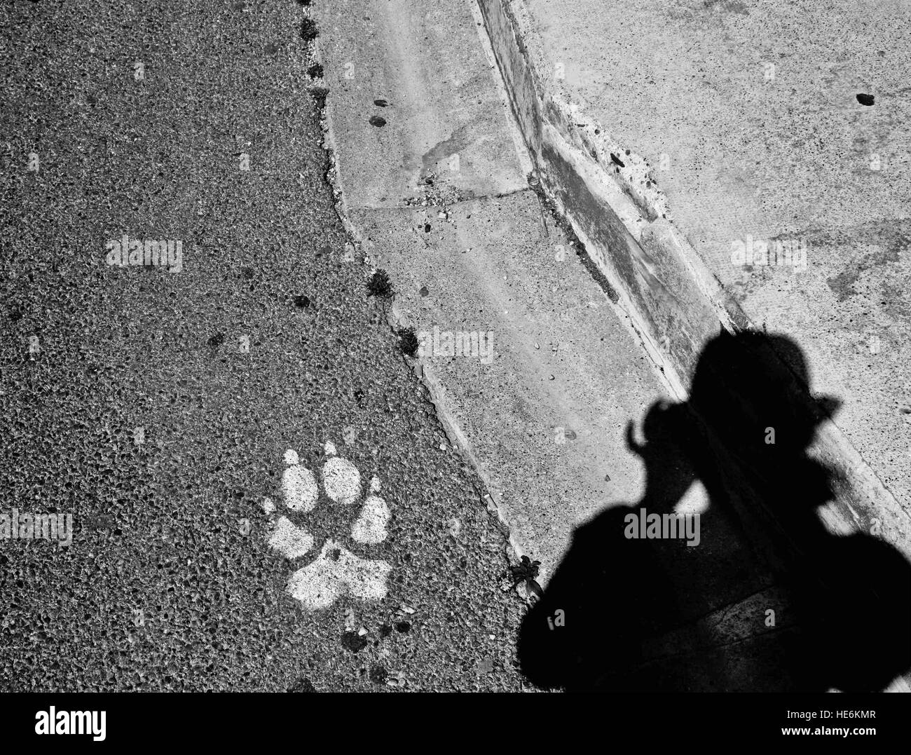 The photographers shadow hi-res stock photography and images - Alamy