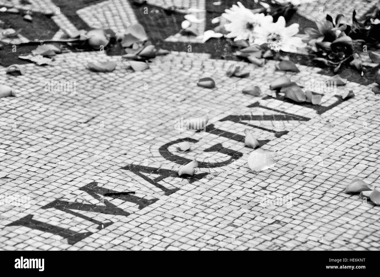 Imagine sign in Central park New York Stock Photo - Alamy