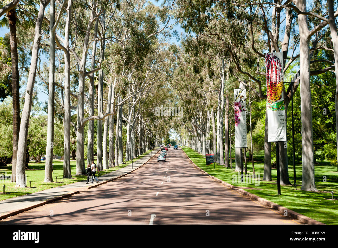 Kings Park - Perth - Australia Stock Photo - Alamy