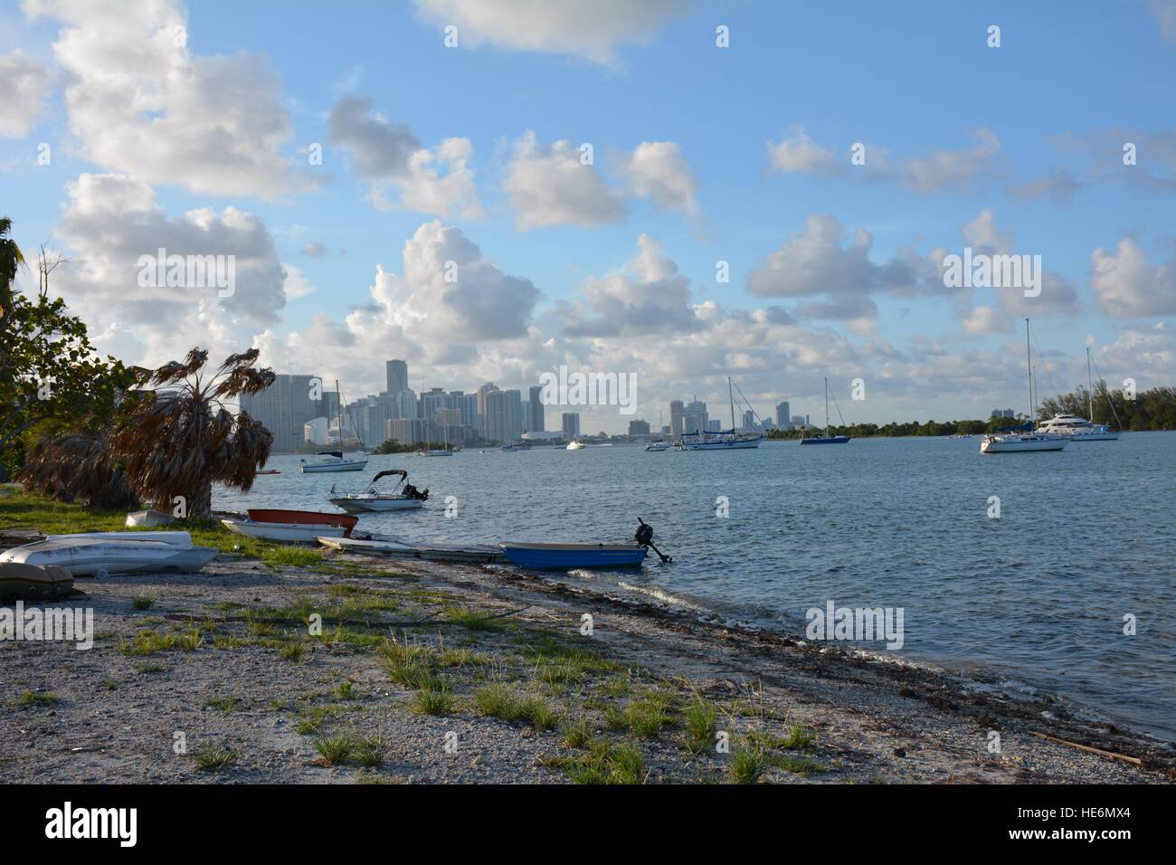 landscape of miami's downtown with boats and water Stock Photo - Alamy
