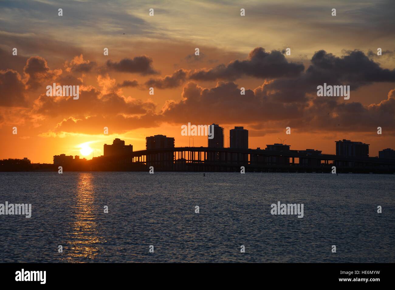 Miami Sunset