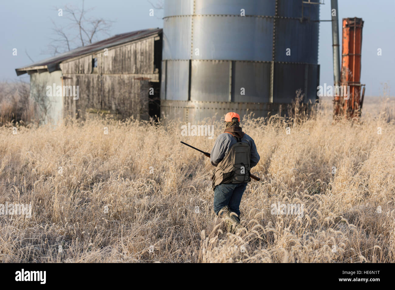 A young Pheasant hunter Stock Photo - Alamy