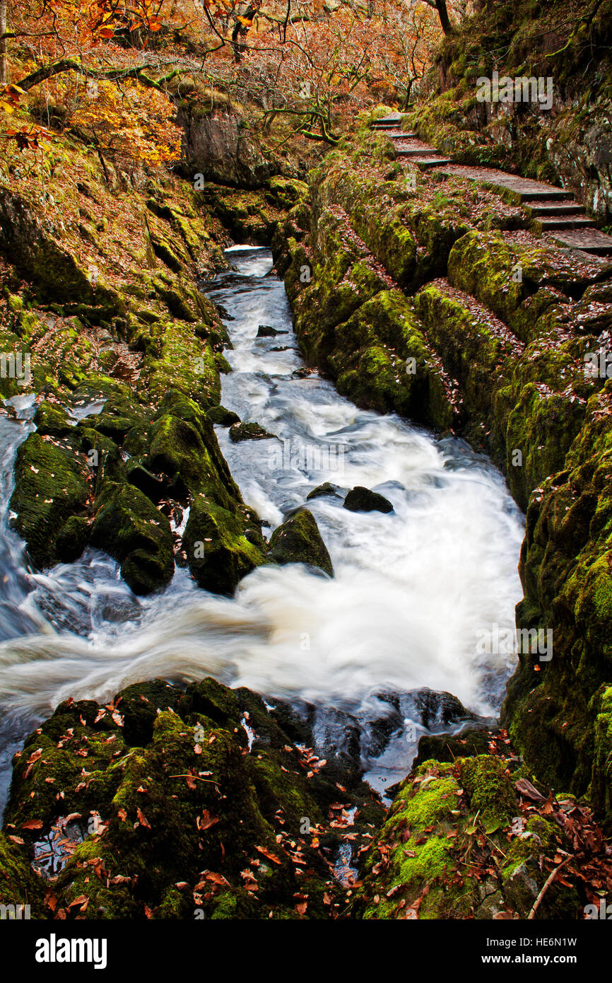 Cascading steps hi-res stock photography and images - Alamy