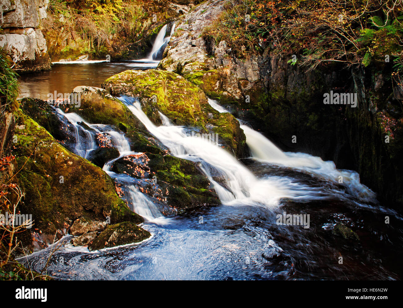 Feeding Triple Spout Stock Photo - Alamy