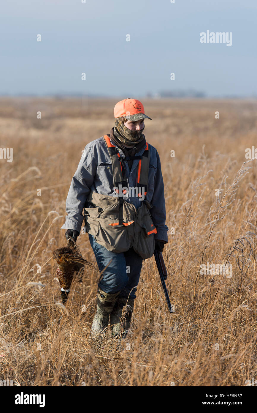 Young hunter out Pheasant Hunting Stock Photo - Alamy