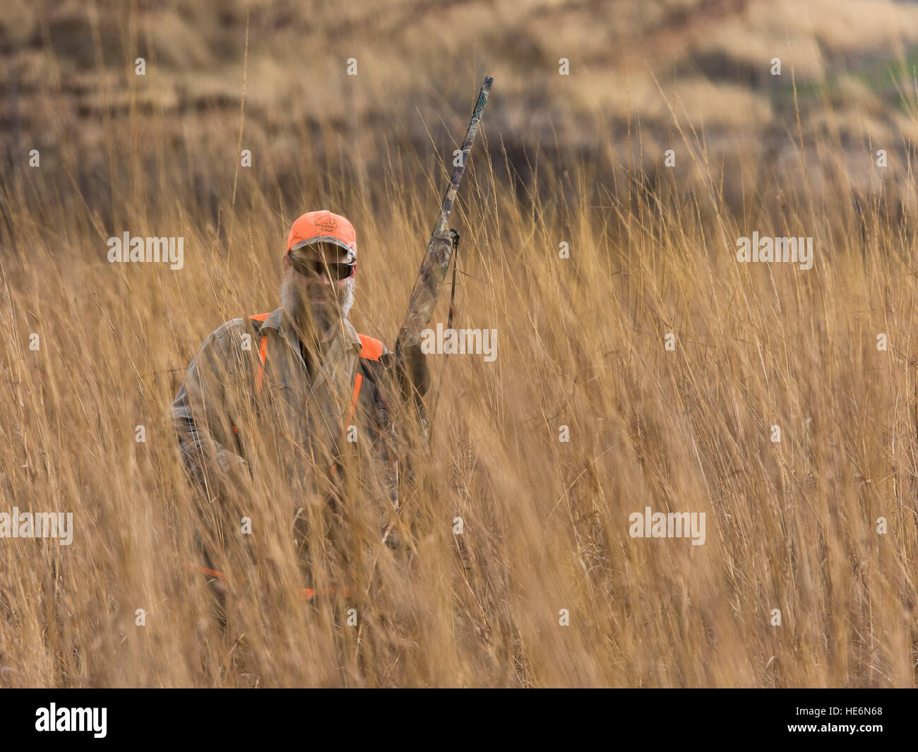 A bird hunter on a nice autumn day Stock Photo - Alamy