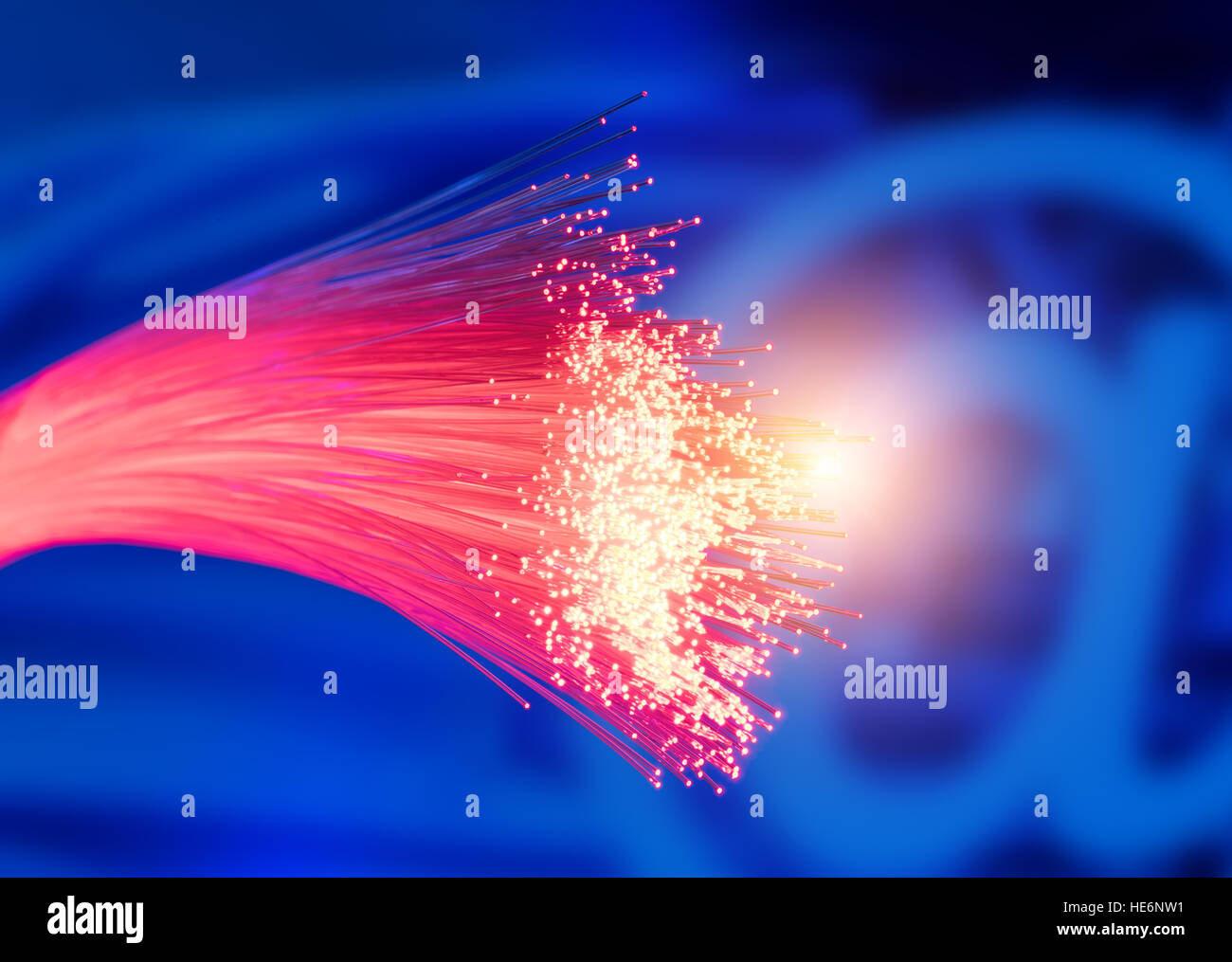 fiber optical network cable Stock Photo - Alamy