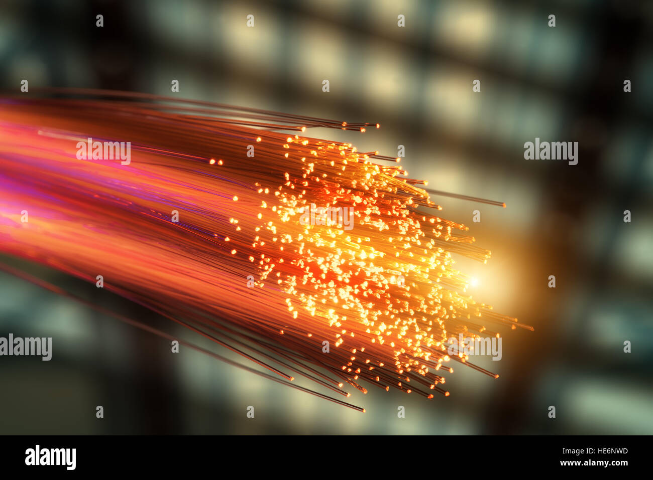 fiber optical network cable Stock Photo - Alamy