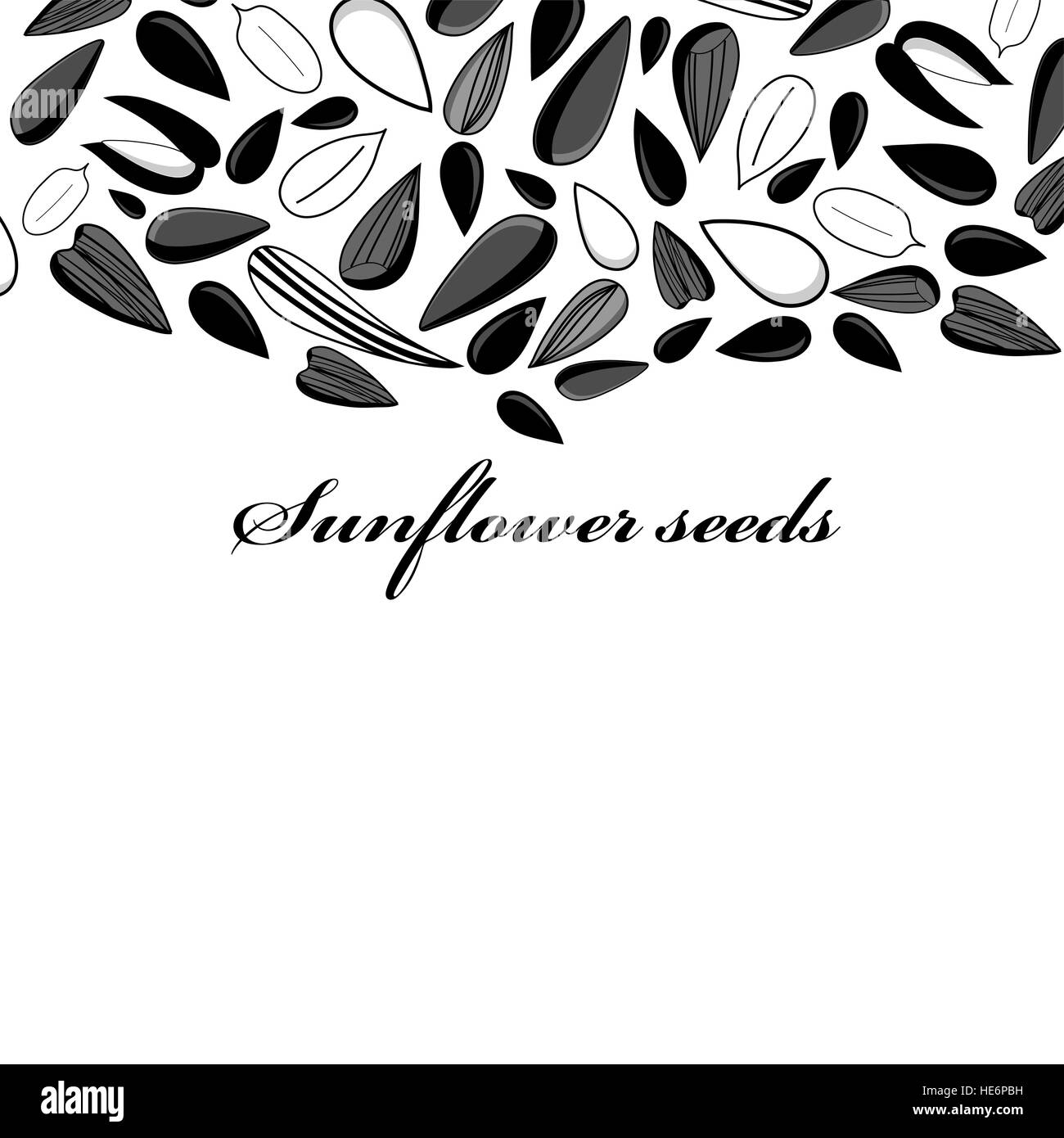 Vector illustration of different black seeds on a white background ...