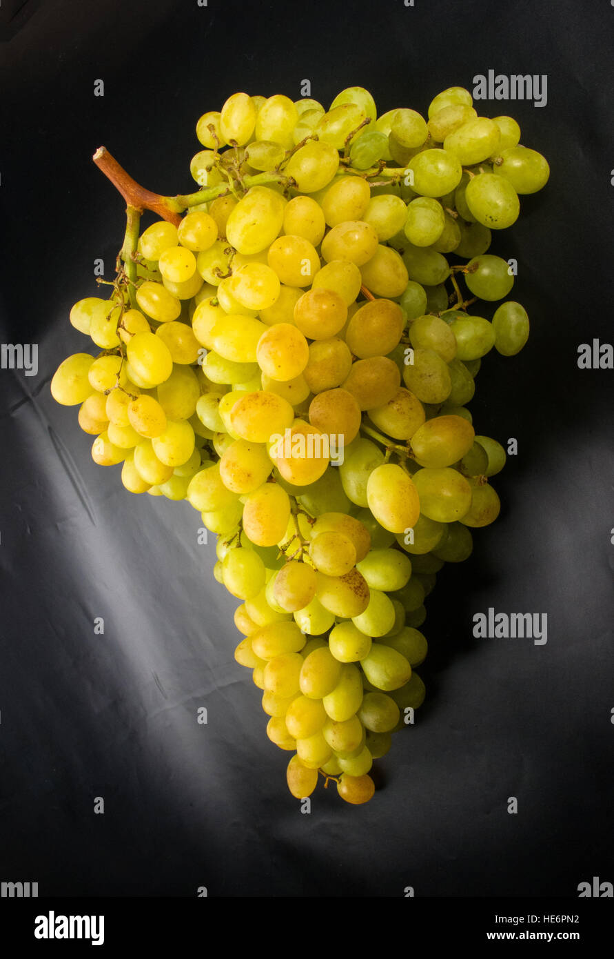 Large grapes cluster amber color on black background Stock Photo - Alamy
