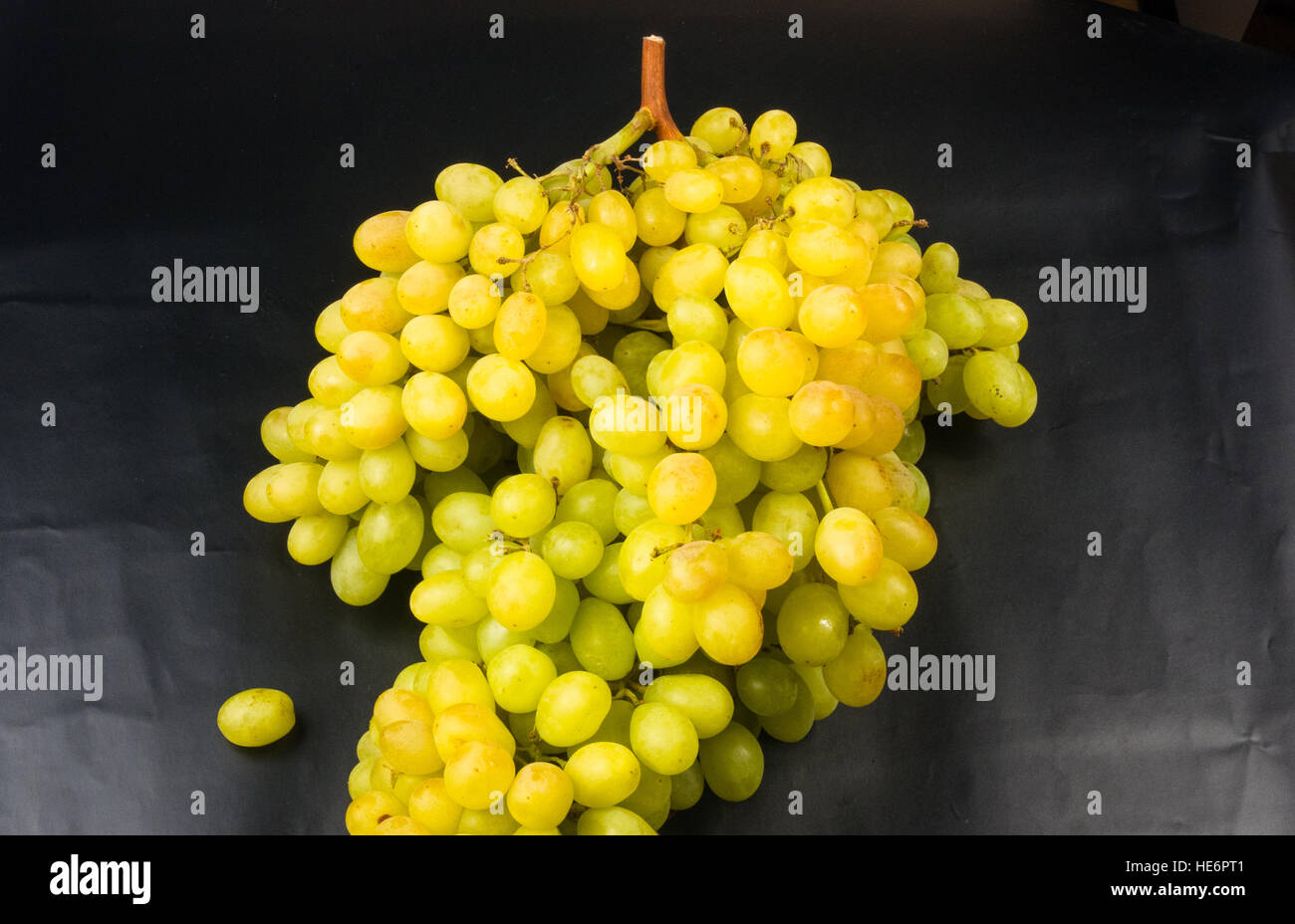 Large grapes cluster amber color on black background Stock Photo - Alamy