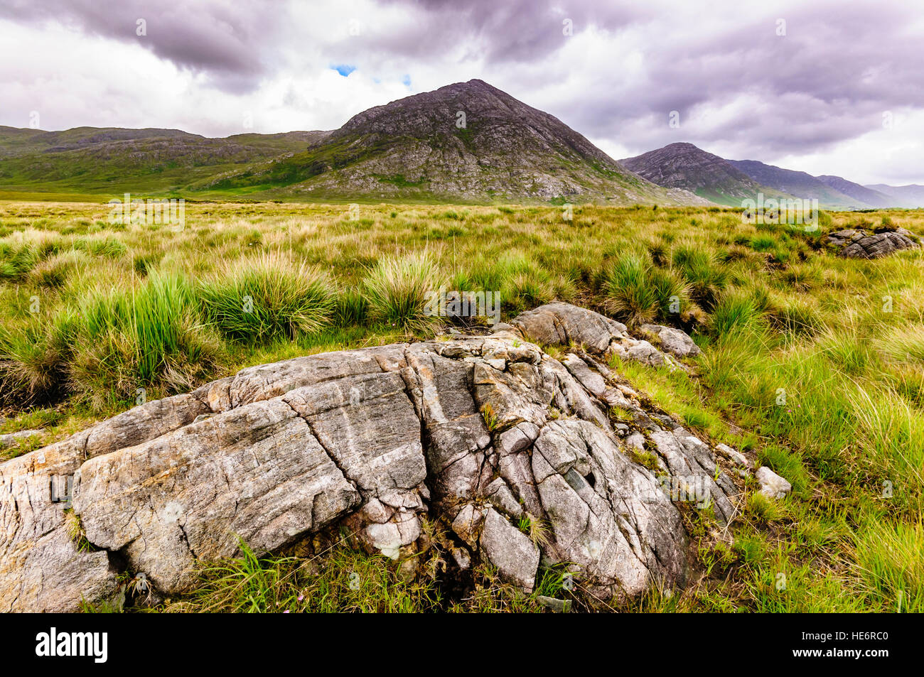 Exposed karst limestone bedrock at the Burren, County Clare, Ireland ...