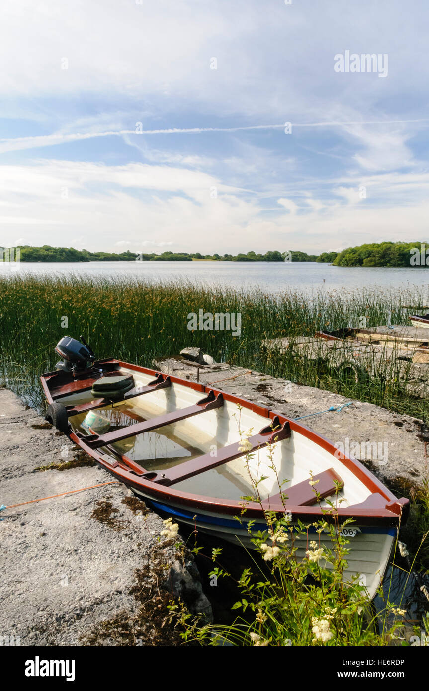 Reeds Irish Lough High Resolution Stock Photography and Images - Alamy