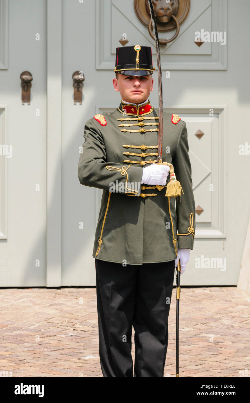 Hungarian soldiers take part in the hourly Changing of the Guard at ...
