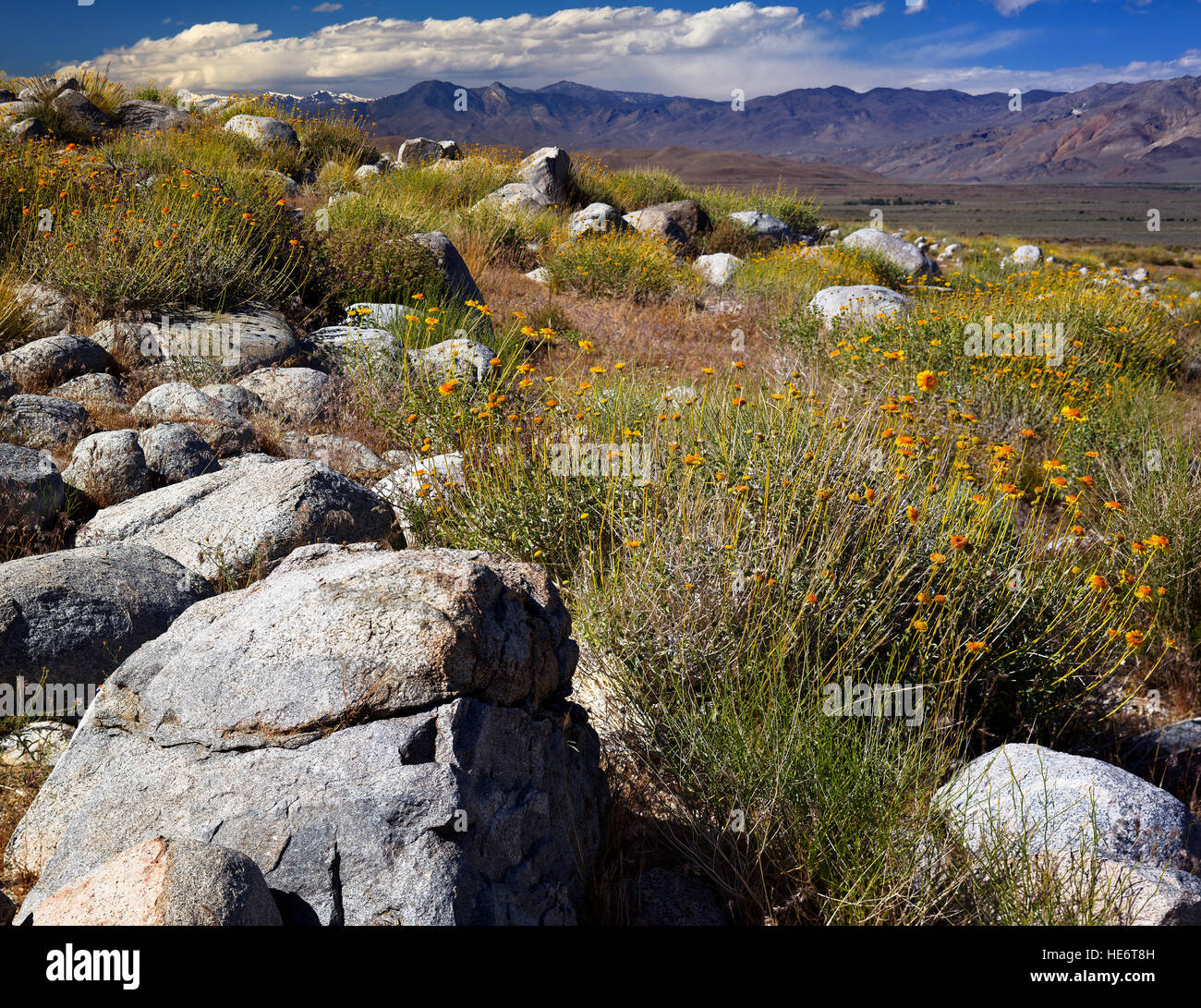 Arid Wilderness of the Eastern Sierras Stock Photo - Alamy