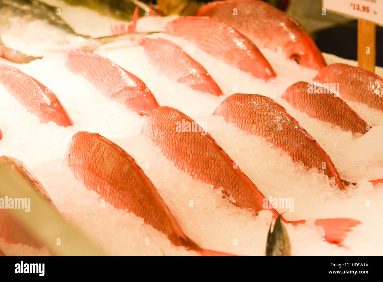 Red tropical fish at the market Stock Photo - Alamy