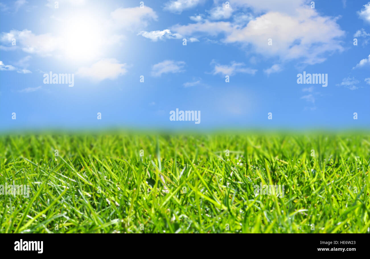 Sky And Grass Background