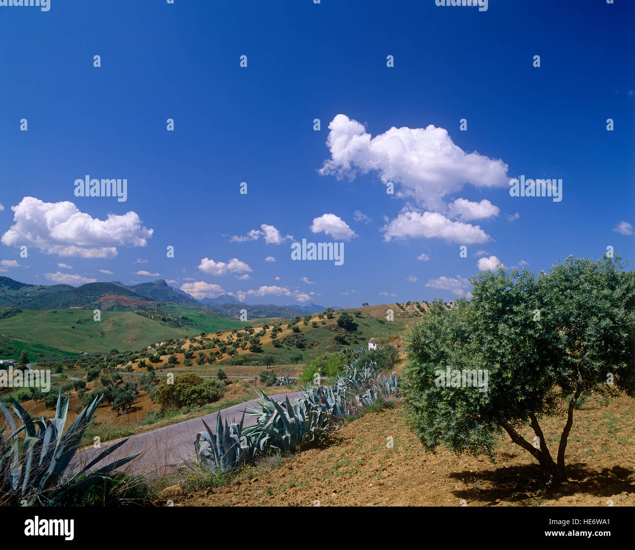 Andalucia and countryside hi-res stock photography and images - Alamy